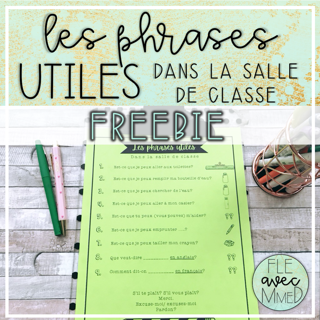 14 fantastic beginner French Resources - FLE Avec MmeD