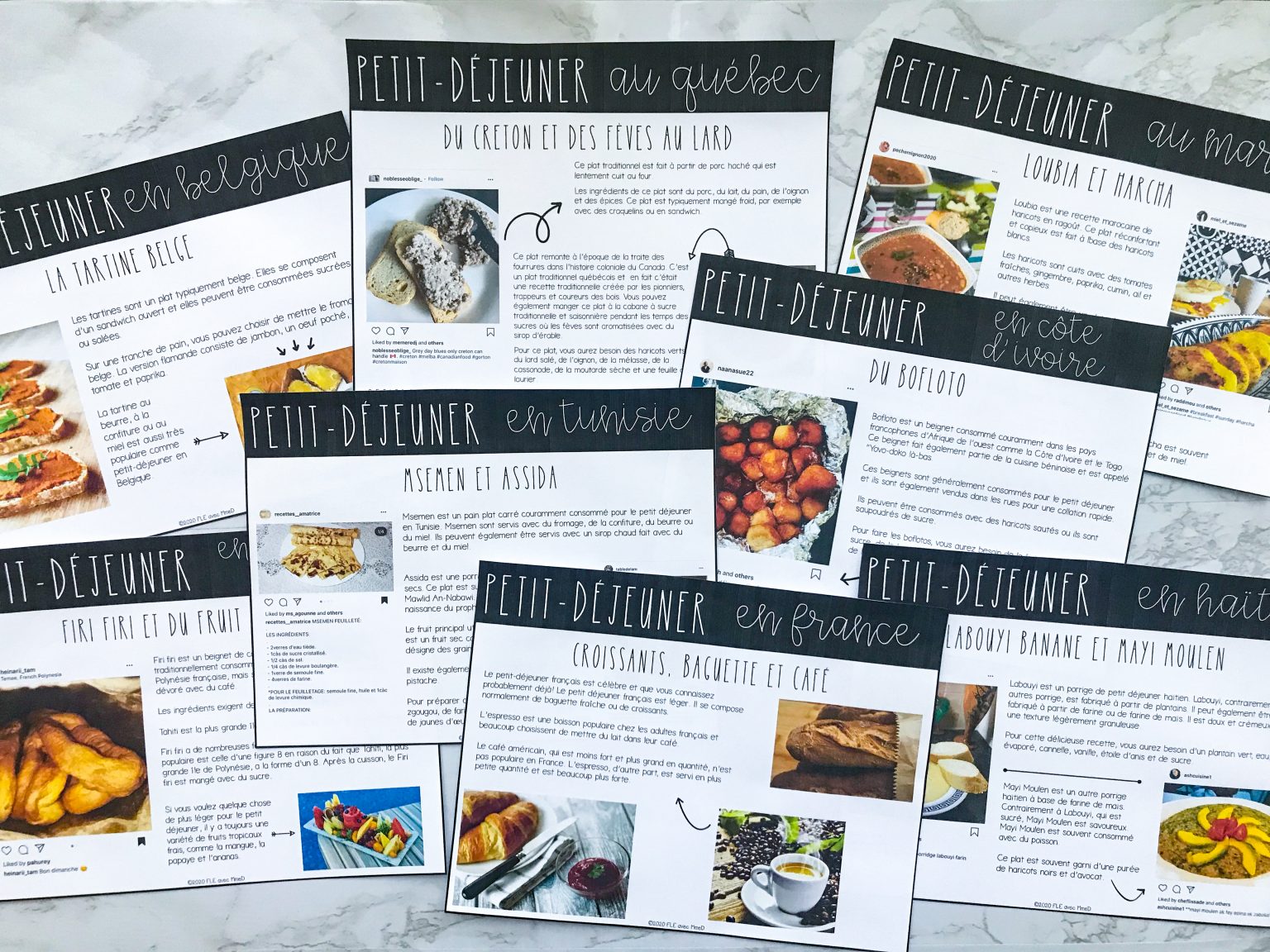 Here are 10 informative French activities on la francophonie