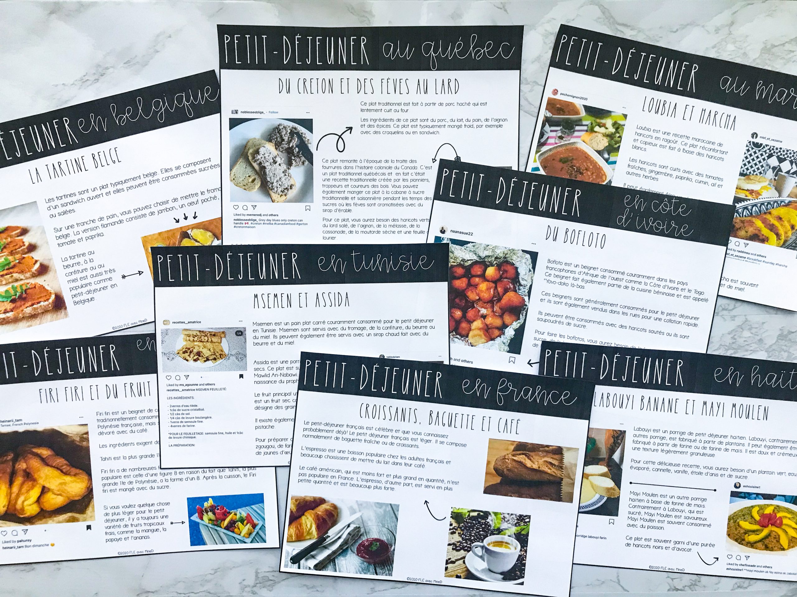 Here are 10 informative French activities on la francophonie