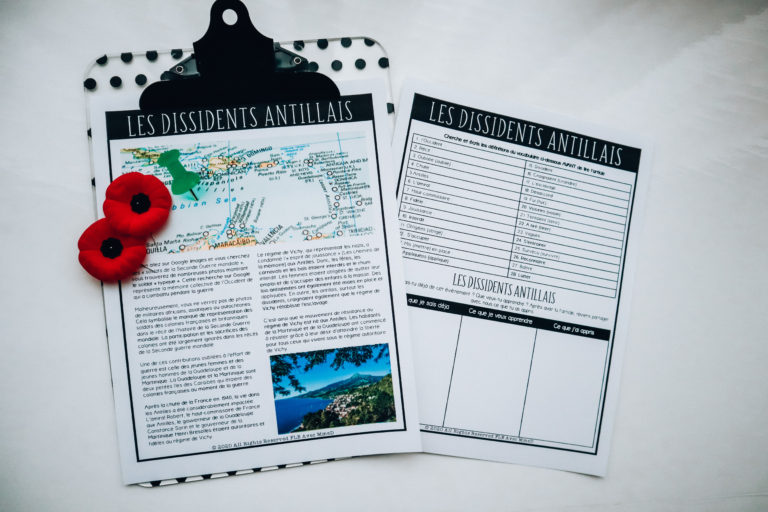 Here are 10 informative French activities on la francophonie