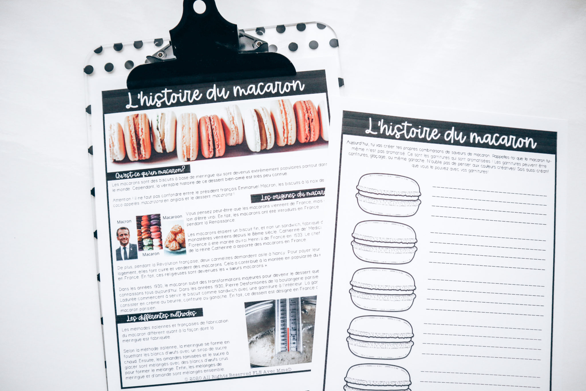 Here are 10 informative French activities on la francophonie