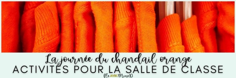 French Orange Shirt Day Activities - FLE Avec MmeD